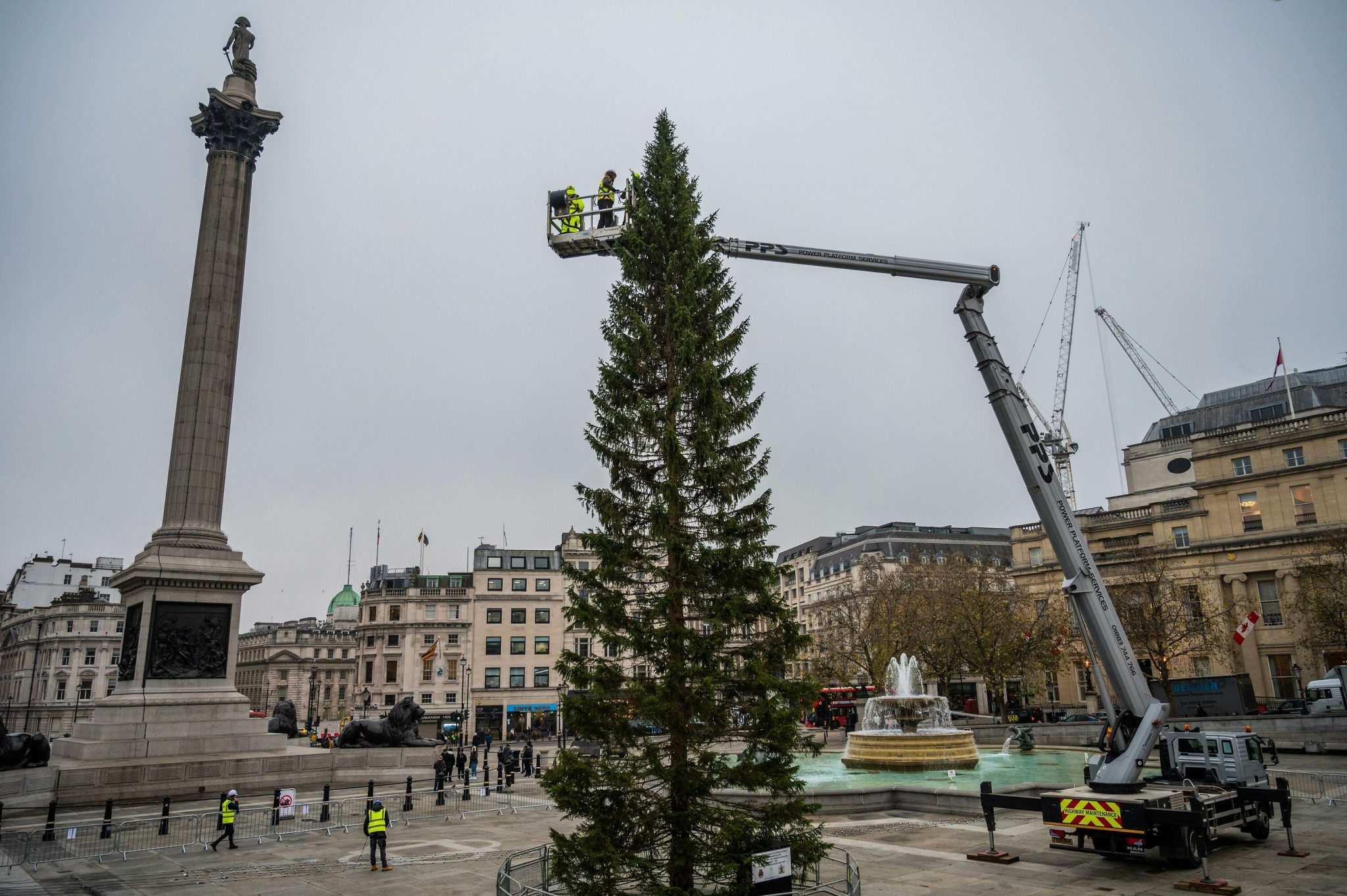 The new Trafalgar Square Christmas tree has landed and the internet has opinions – LIA London