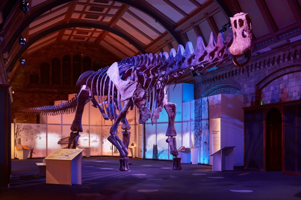 Titanosaurus: check out the gigantic new dinosaur at the Natural ...