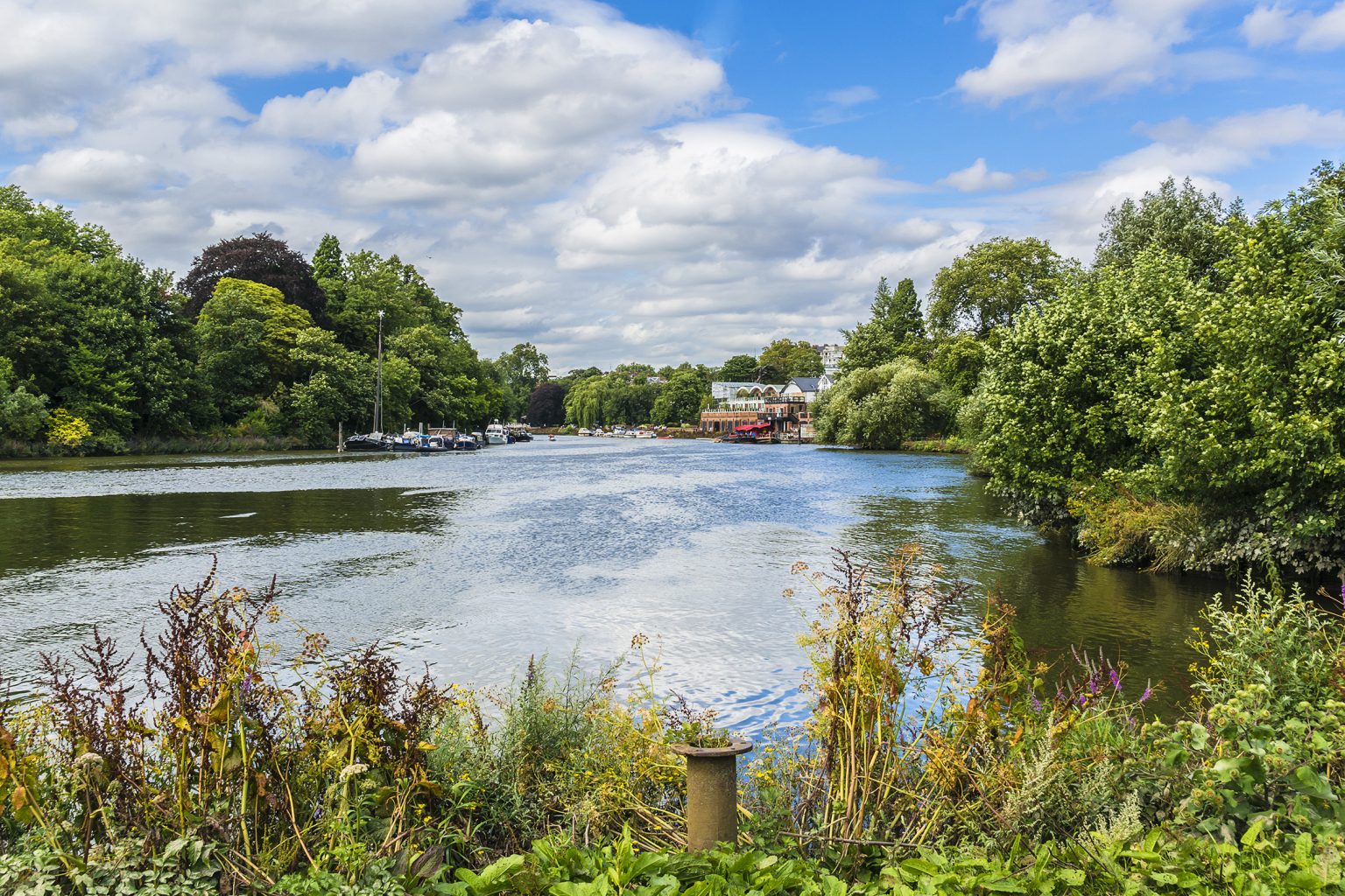 Londoners want to stop more pollution of the Thames with sewage – LIA ...