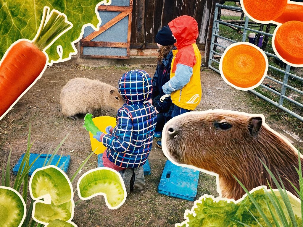 I drove to Zone 5 to pet a capybara for twenty minutes in the freezing ...