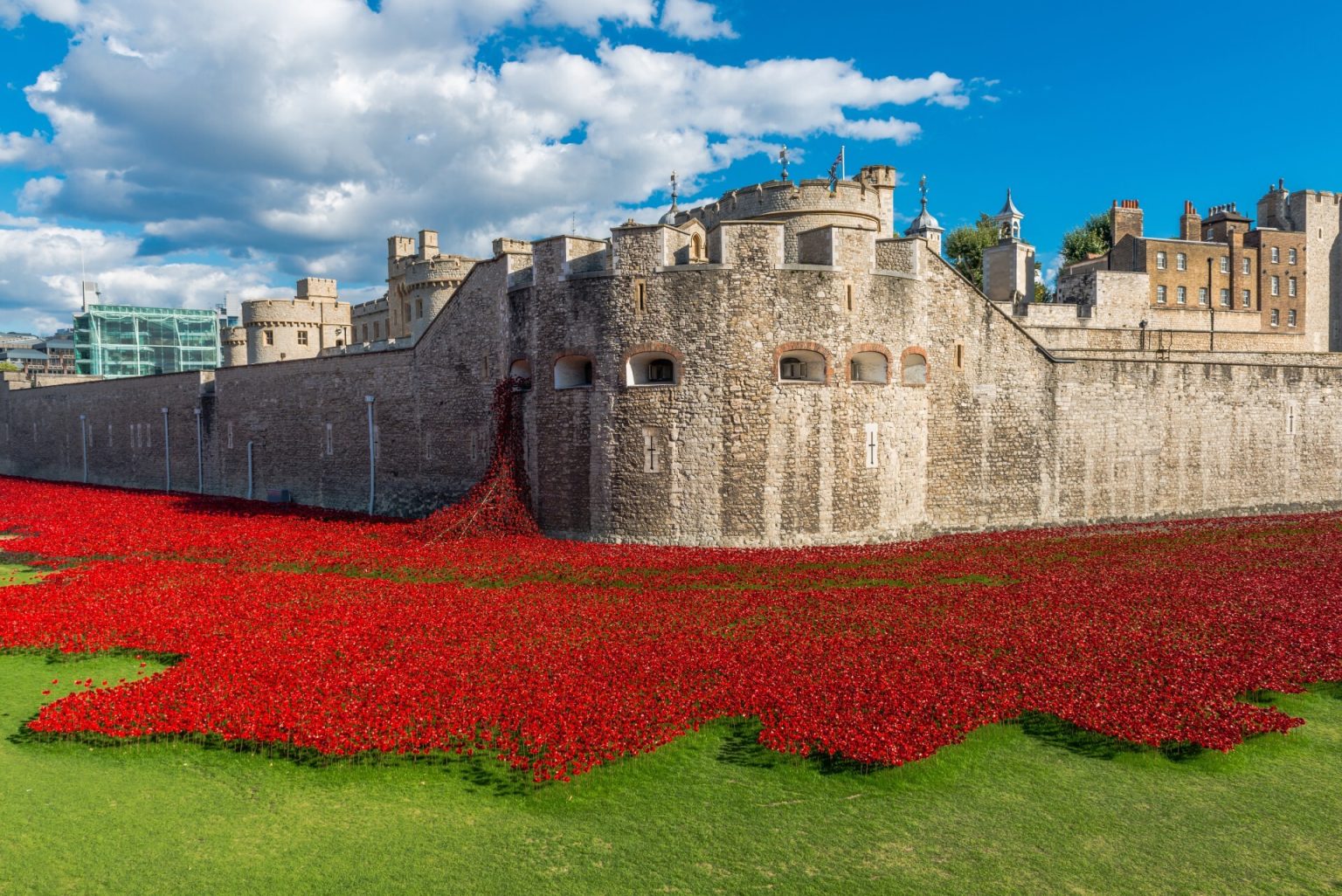 Thousands of ceramic poppies have returned to the Tower of London ...