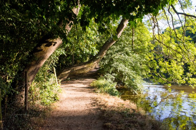 The riverside trail that is officially the best scenic walk near London ...