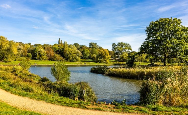 Hampstead Heath could get new saunas, a padel court and 11 new ponds ...